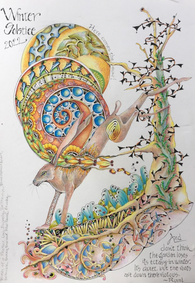Winter Solstice 2022 – a curious nature