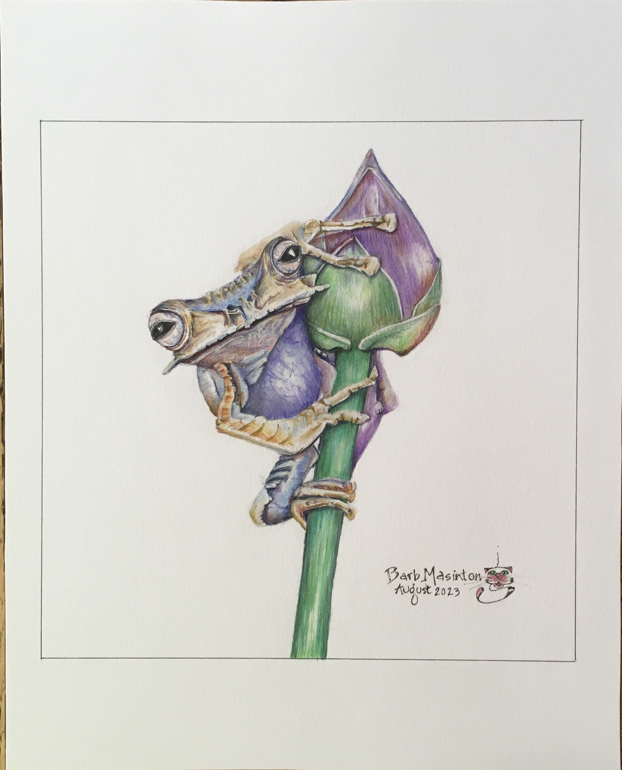 Ribbit Repeat! – a curious nature