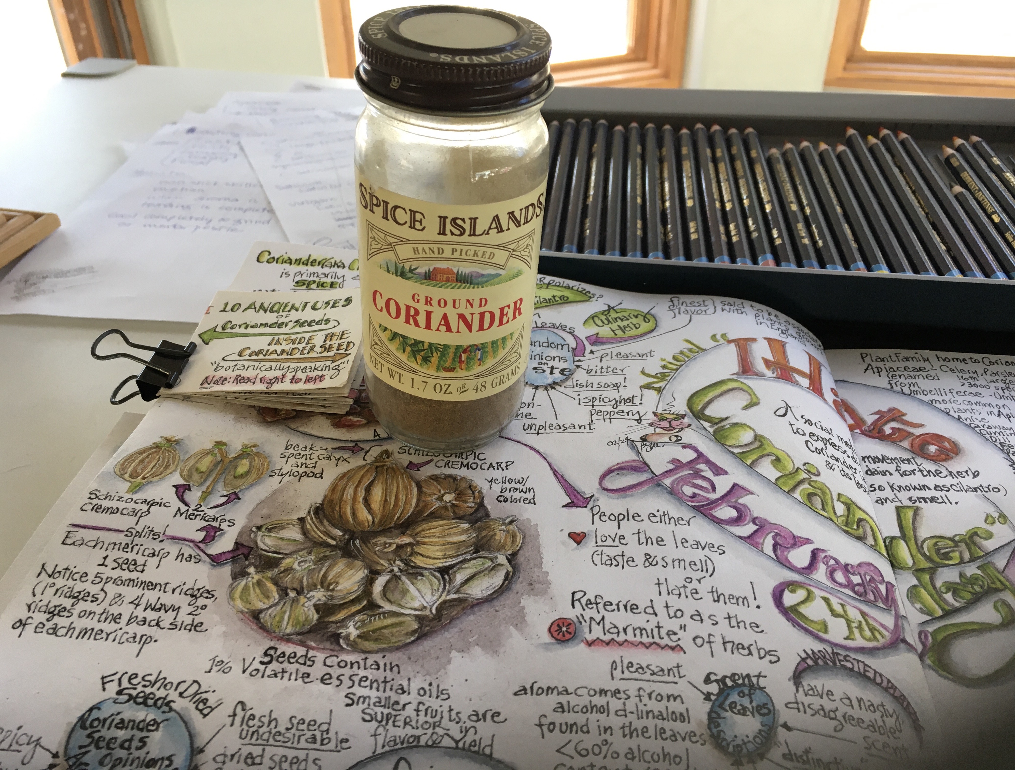February 24th ……….. National “I Hate Coriander” Day! – a curious nature