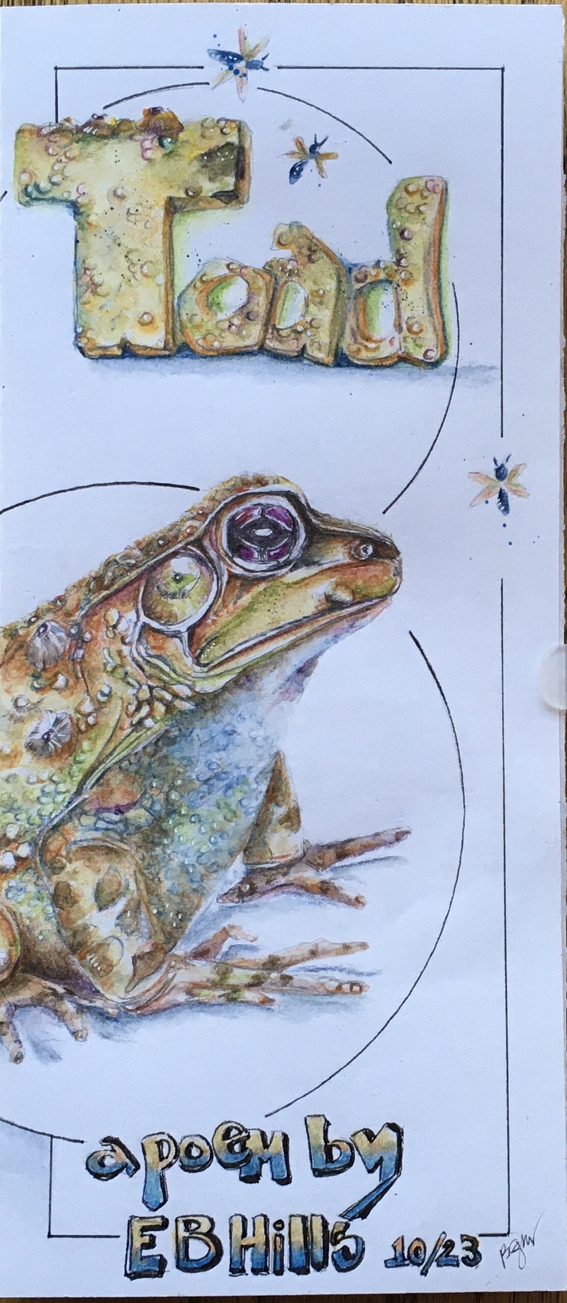 Toad! – a curious nature