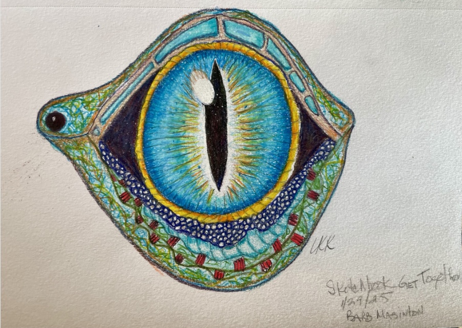 Welcome New and Returning Subscribers – a curious nature