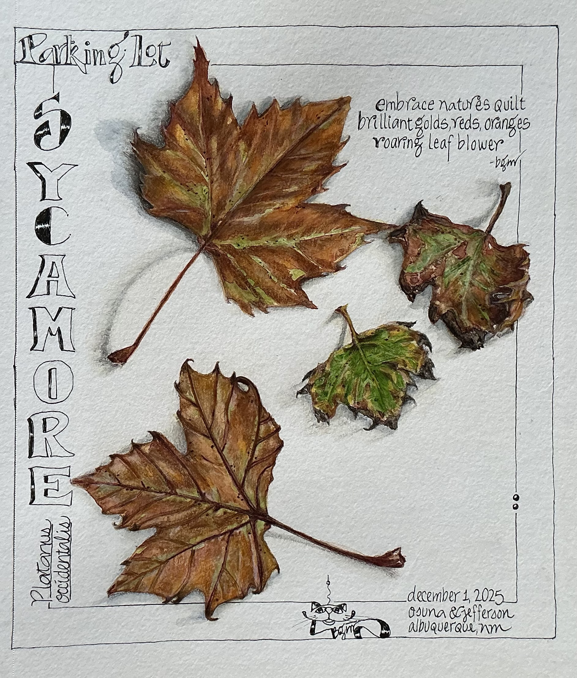 December 2025 – a curious nature